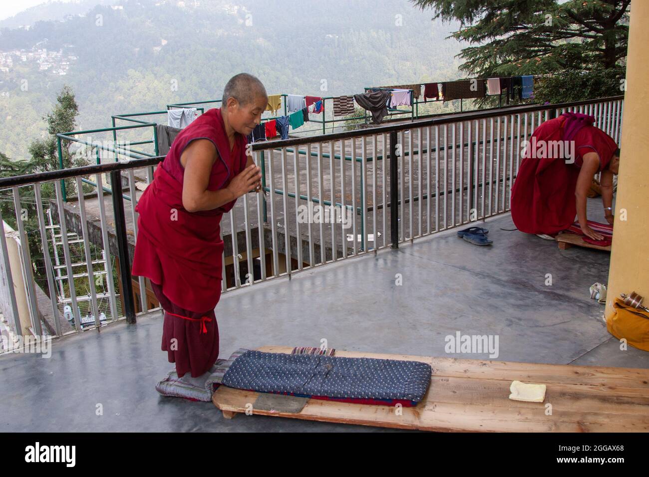 Tempel des Dalai Lama, Dharamsala, Himachal Pradesh, Indien Stockfotografie - Alamy