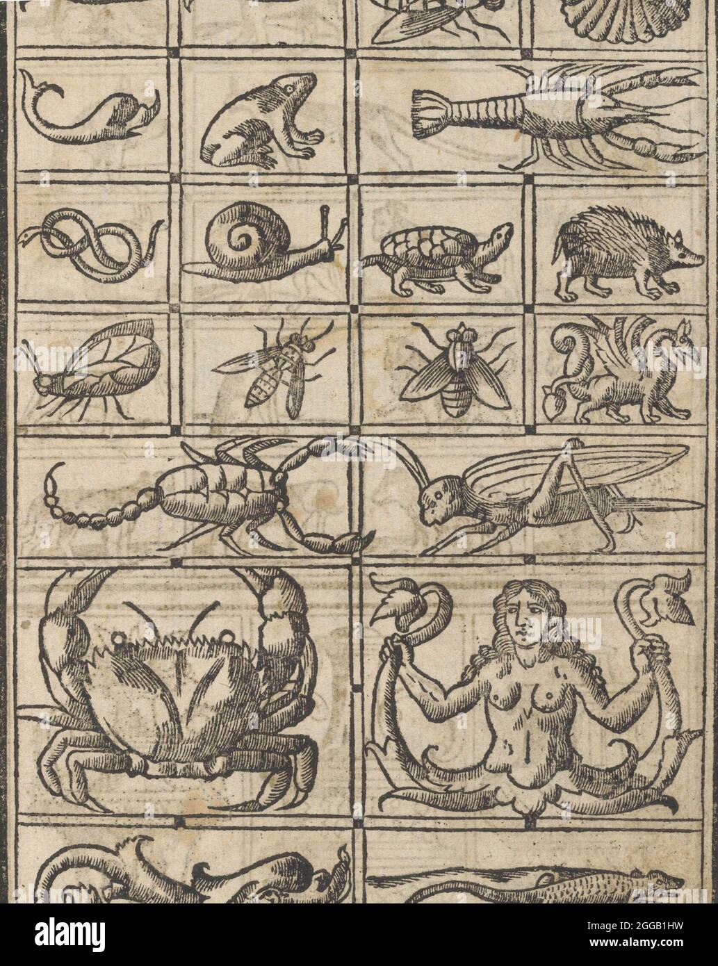 Tagliente giovannantonio -Fotos und -Bildmaterial in hoher Auflösung ...