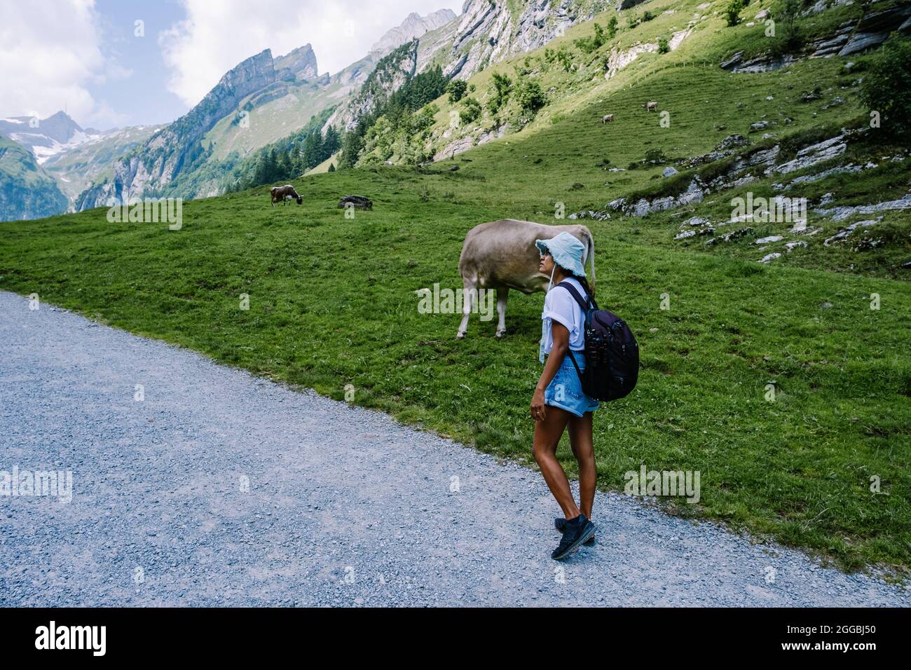 Seealpsee bei Appenzell in den schweizer Alpen, Ebenalp, Schweiz ...