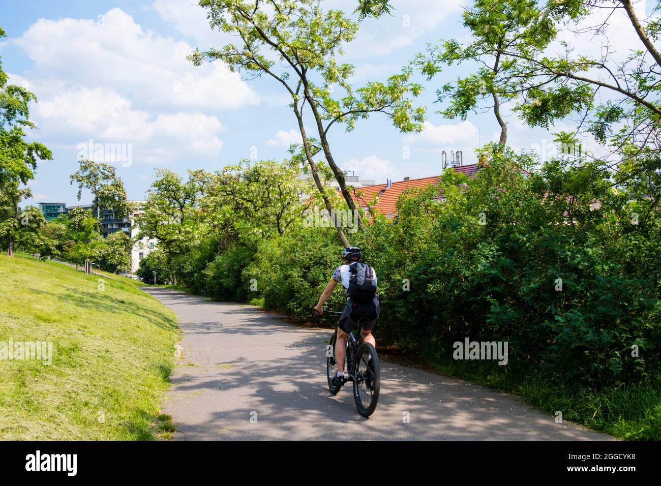 Parukarka park -Fotos und -Bildmaterial in hoher Auflösung – Alamy