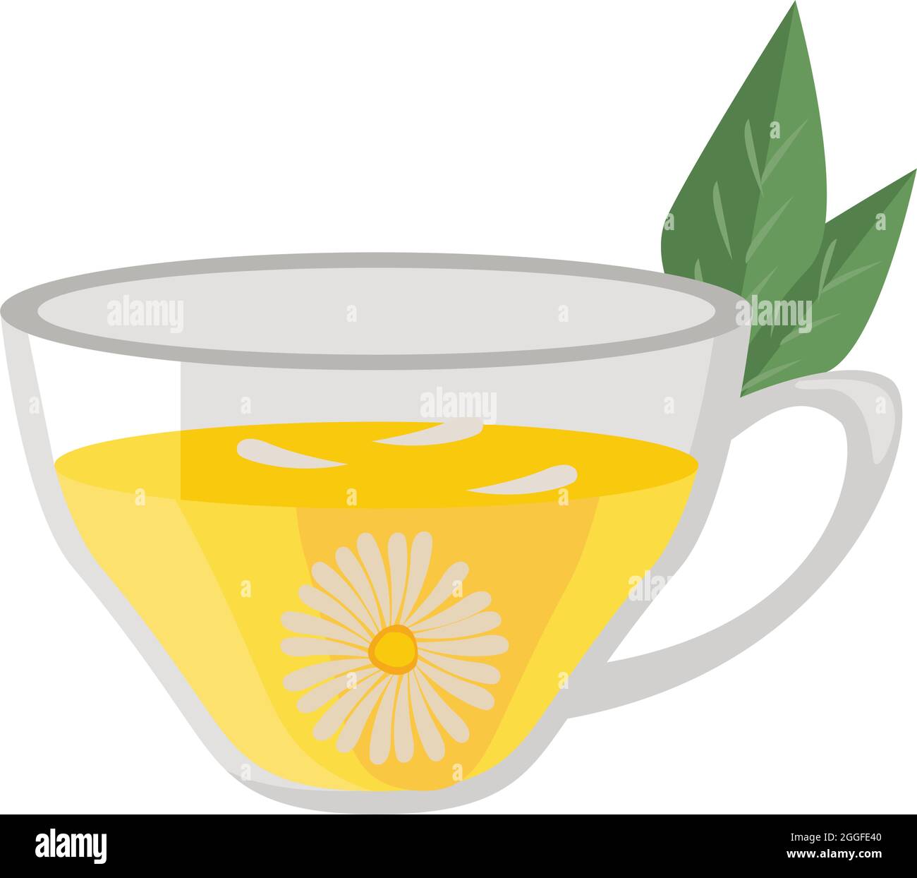 Pharmazeutische kamille Stock-Vektorgrafiken kaufen - Alamy