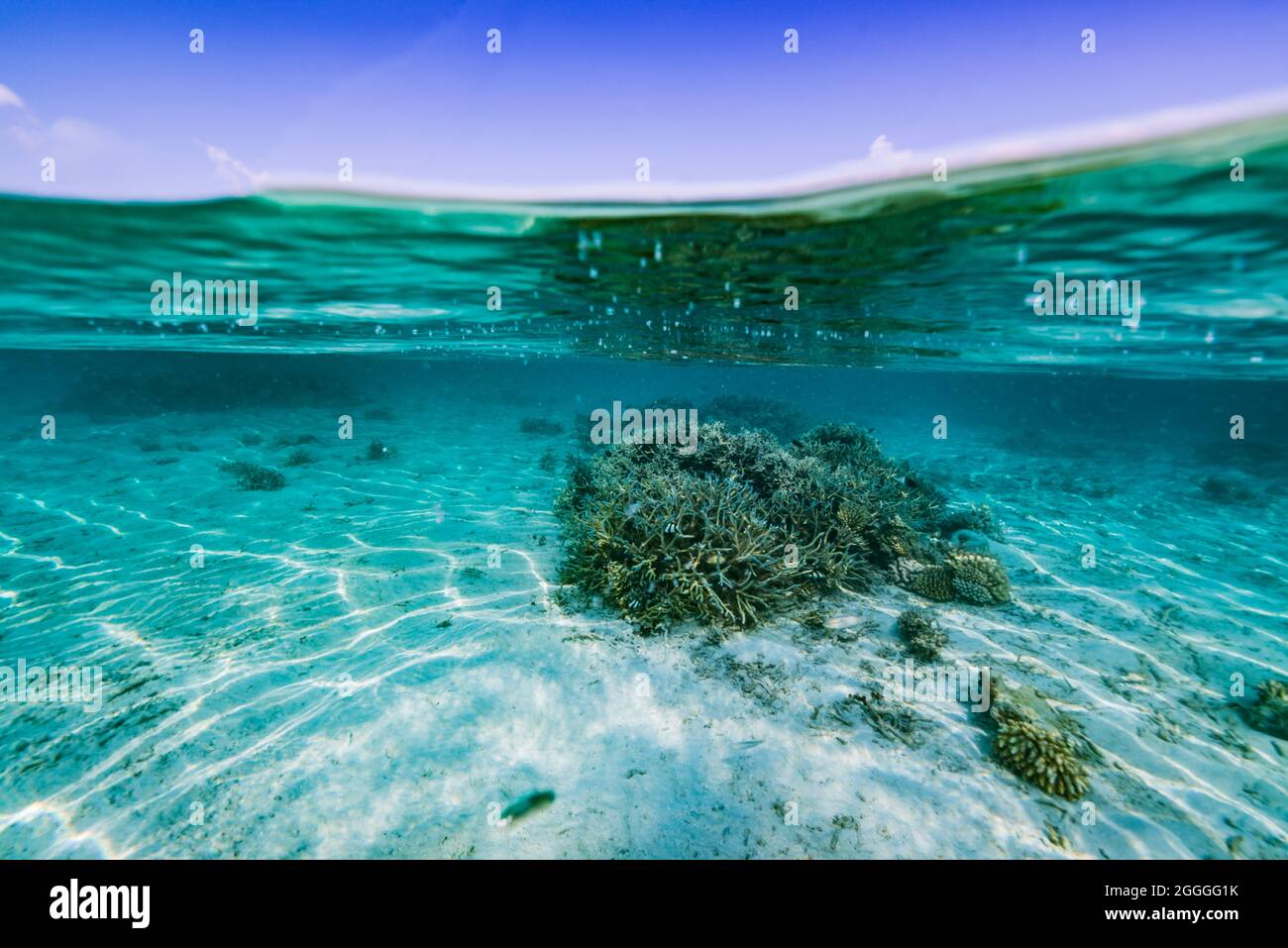 Sand underwater -Fotos und -Bildmaterial in hoher Auflösung – Alamy