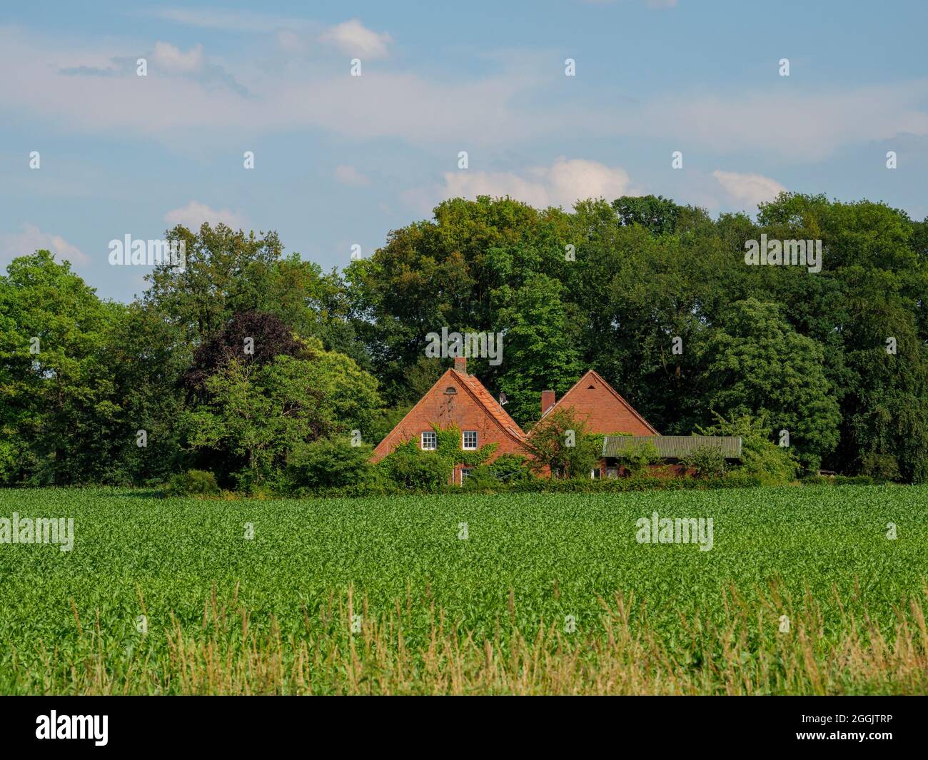 Flache Landschaft südwestlich von Glandorf, Osnabrücker Land ...