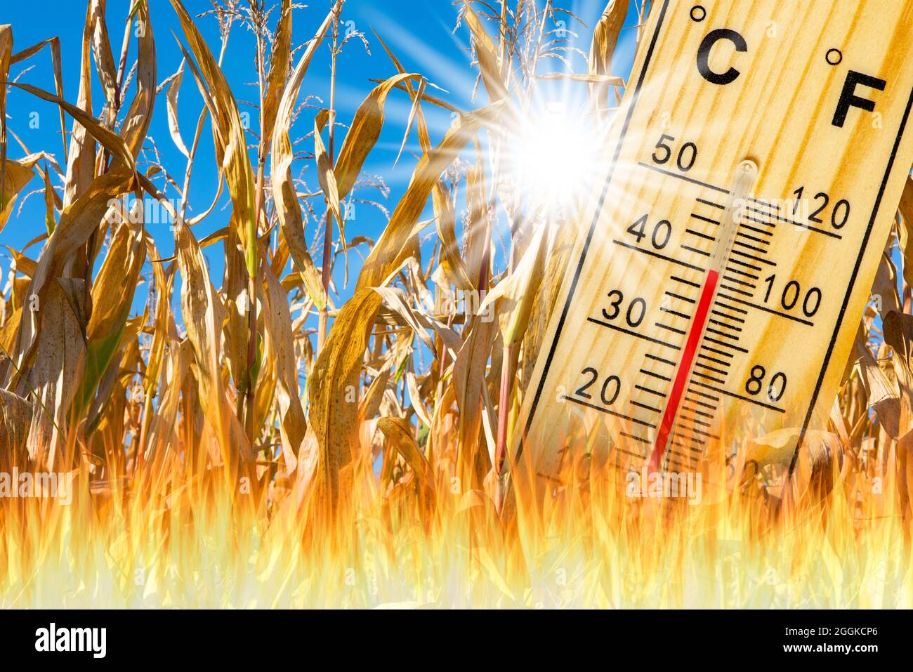 Periodo de alta temperatura -Fotos und -Bildmaterial in hoher Auflösung ...