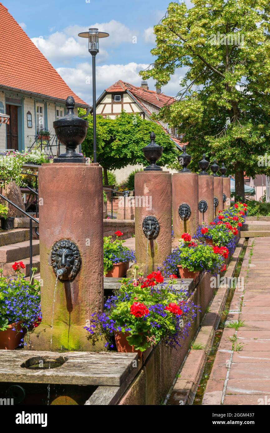 Deutschland, Hessen, Beerfelden, die Mümlingquelle, Zwölfrohrbrunnen um ...