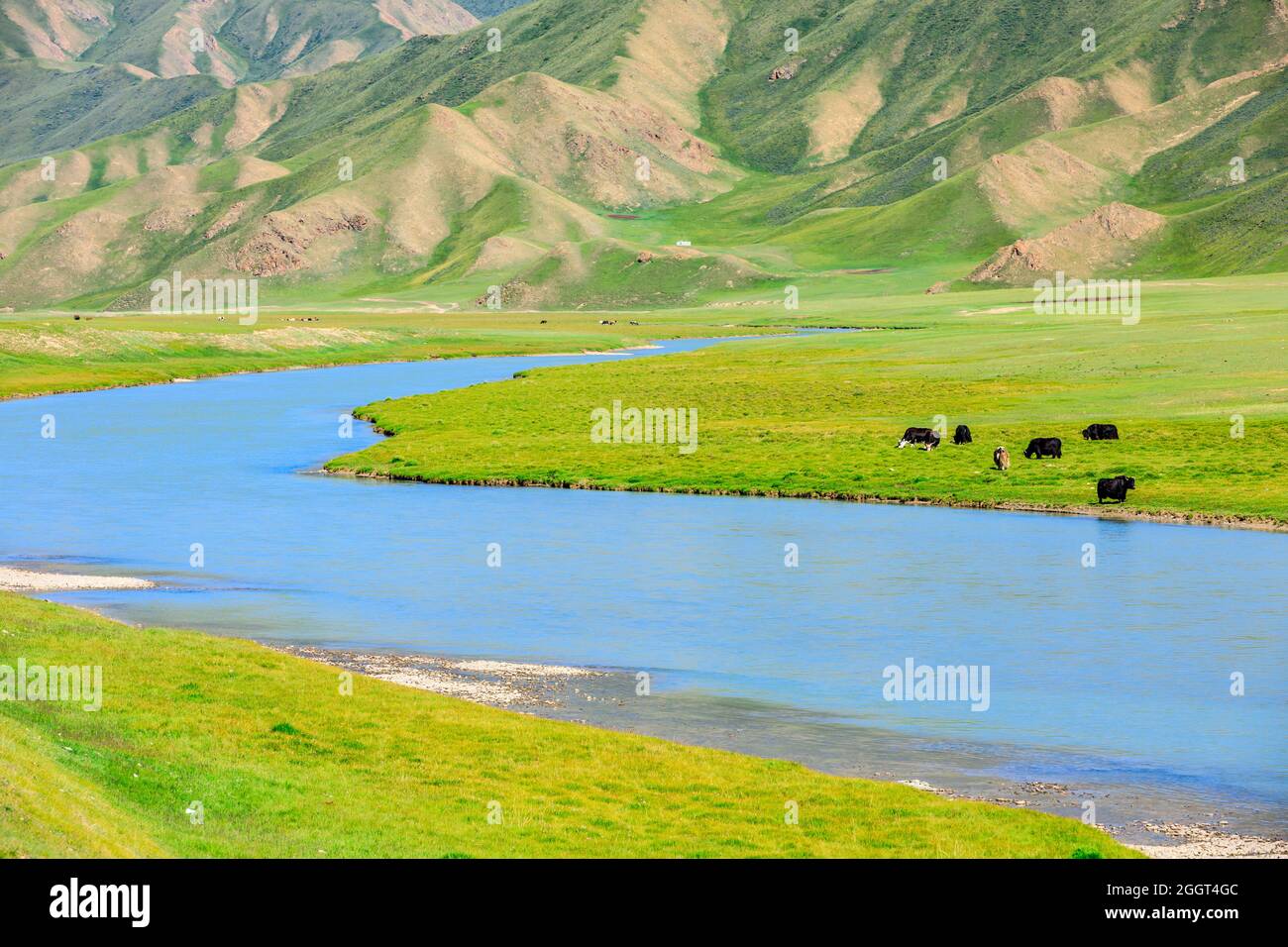 Weide oder wiese -Fotos und -Bildmaterial in hoher Auflösung – Alamy