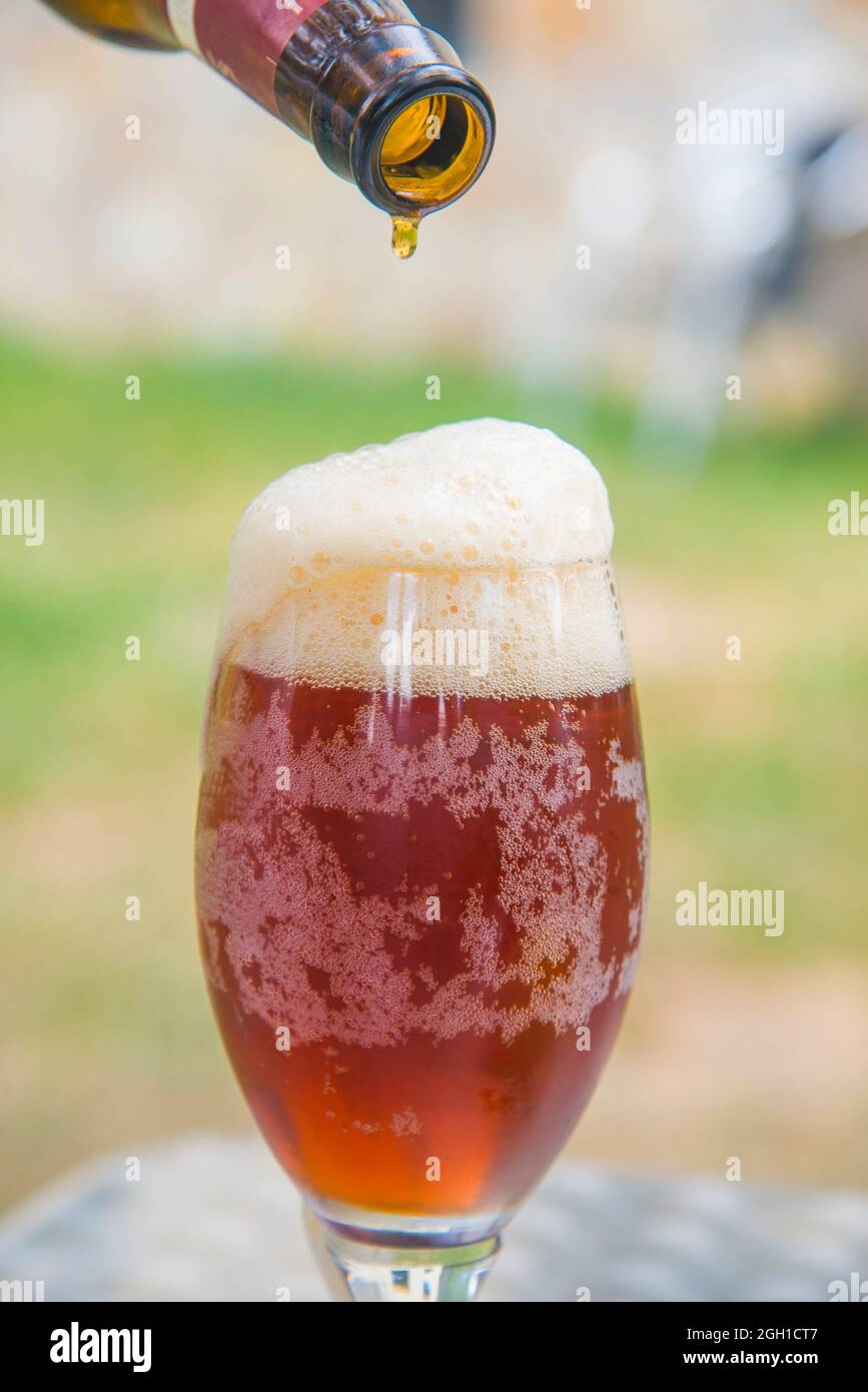 Bier essen und trinken -Fotos und -Bildmaterial in hoher Auflösung ...