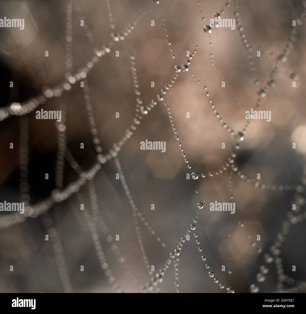 Kleine wassertropfen -Fotos und -Bildmaterial in hoher Auflösung – Alamy