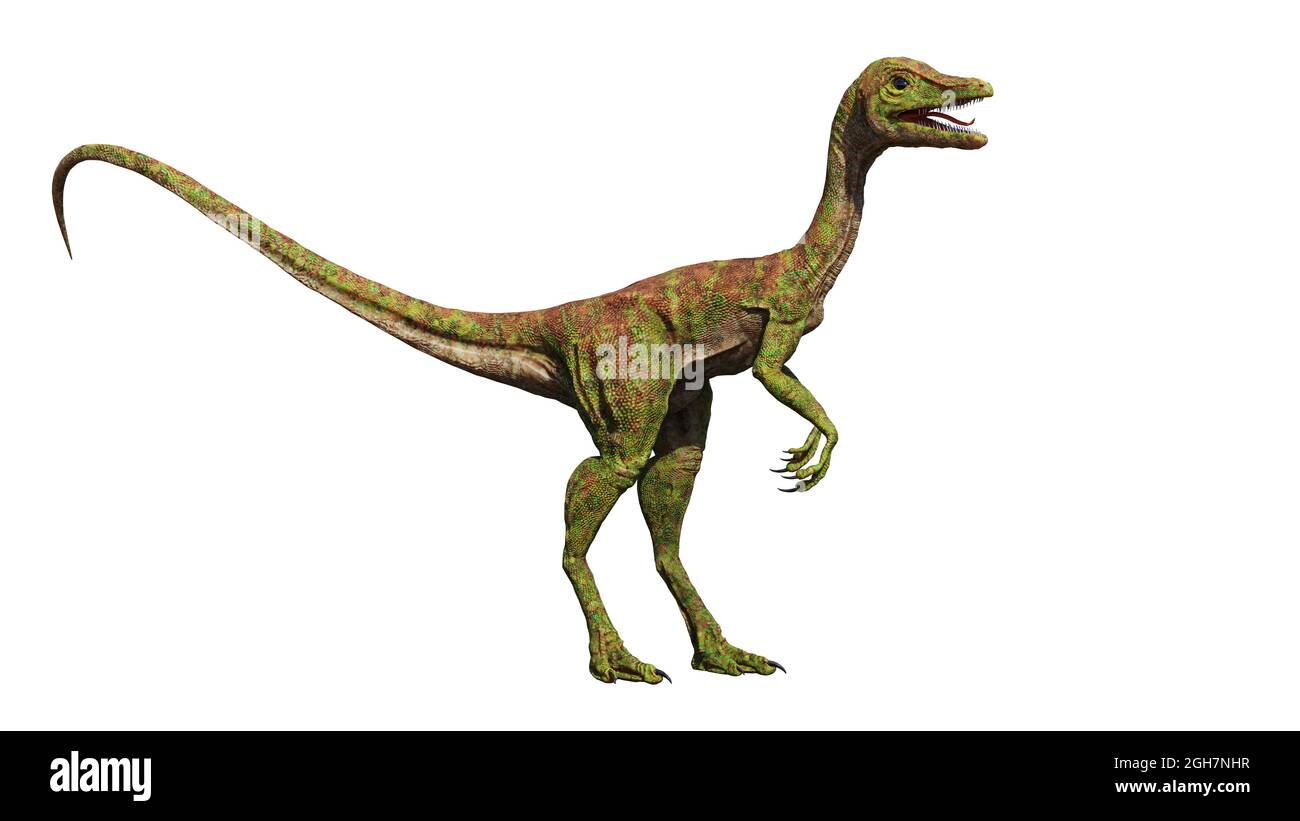 Bipedal predator -Fotos und -Bildmaterial in hoher Auflösung – Alamy