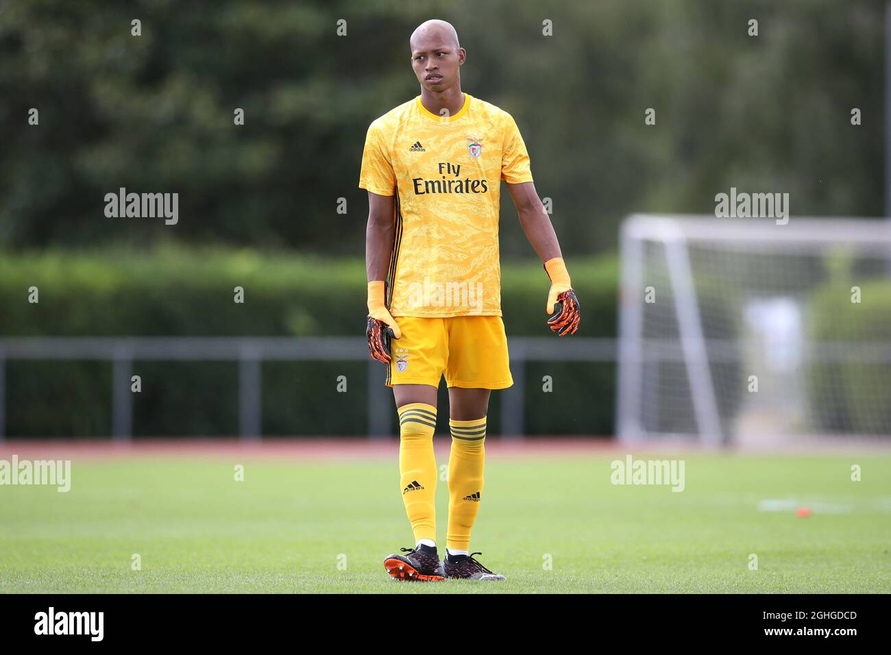 Leobrian kokubo -Fotos und -Bildmaterial in hoher Auflösung – Alamy