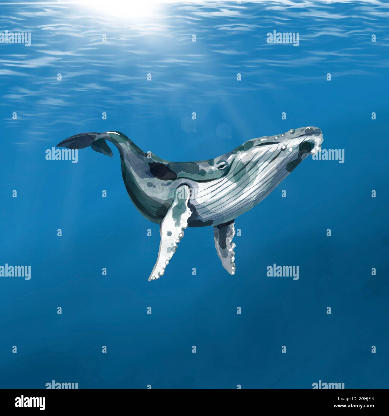 Aquarell wal -Fotos und -Bildmaterial in hoher Auflösung – Alamy