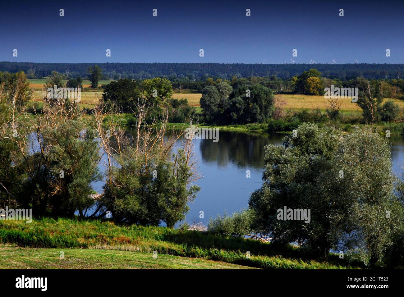 Elbe bei Schnackenburg, Elbhochwasser, Hochwassergebiet zwischen Fluss ...