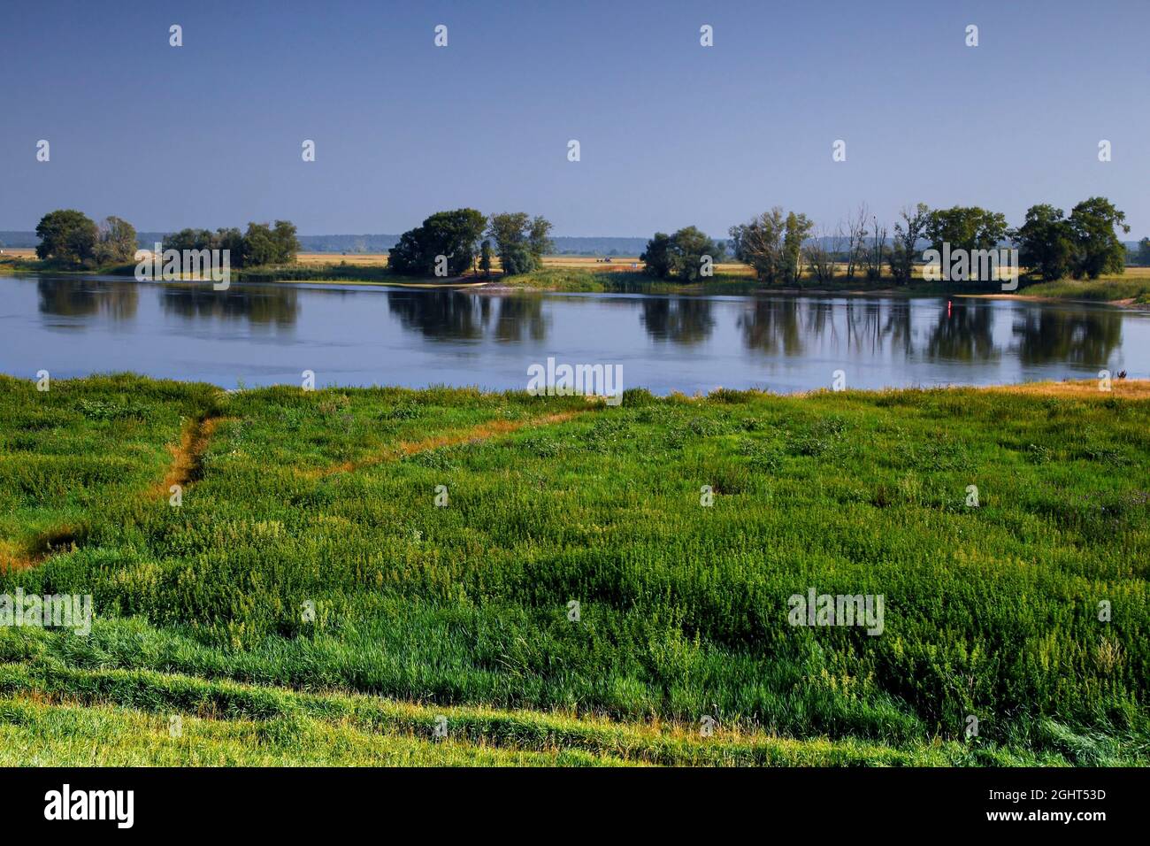 Elbe bei Schnackenburg, Elbhochwasser, Hochwassergebiet zwischen Fluss ...