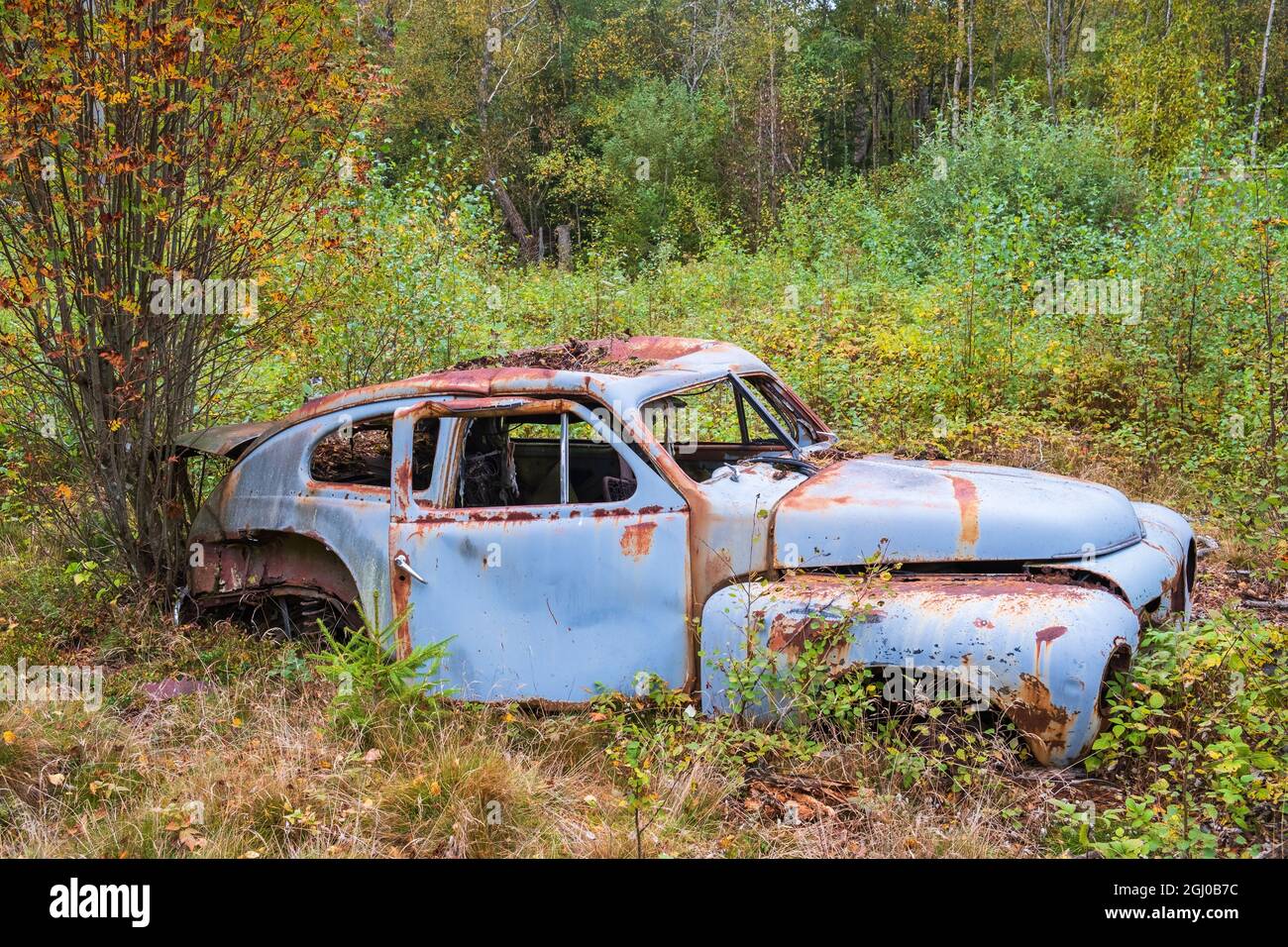 Autowrack im wald -Fotos und -Bildmaterial in hoher Auflösung – Alamy