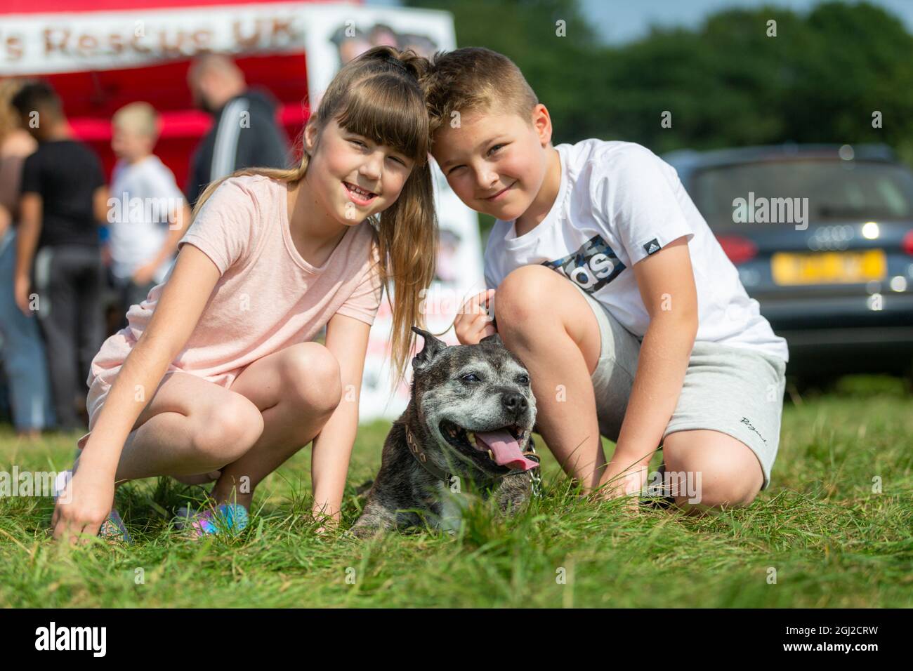 Familie mit zwei kindern und hund -Fotos und -Bildmaterial in hoher ...
