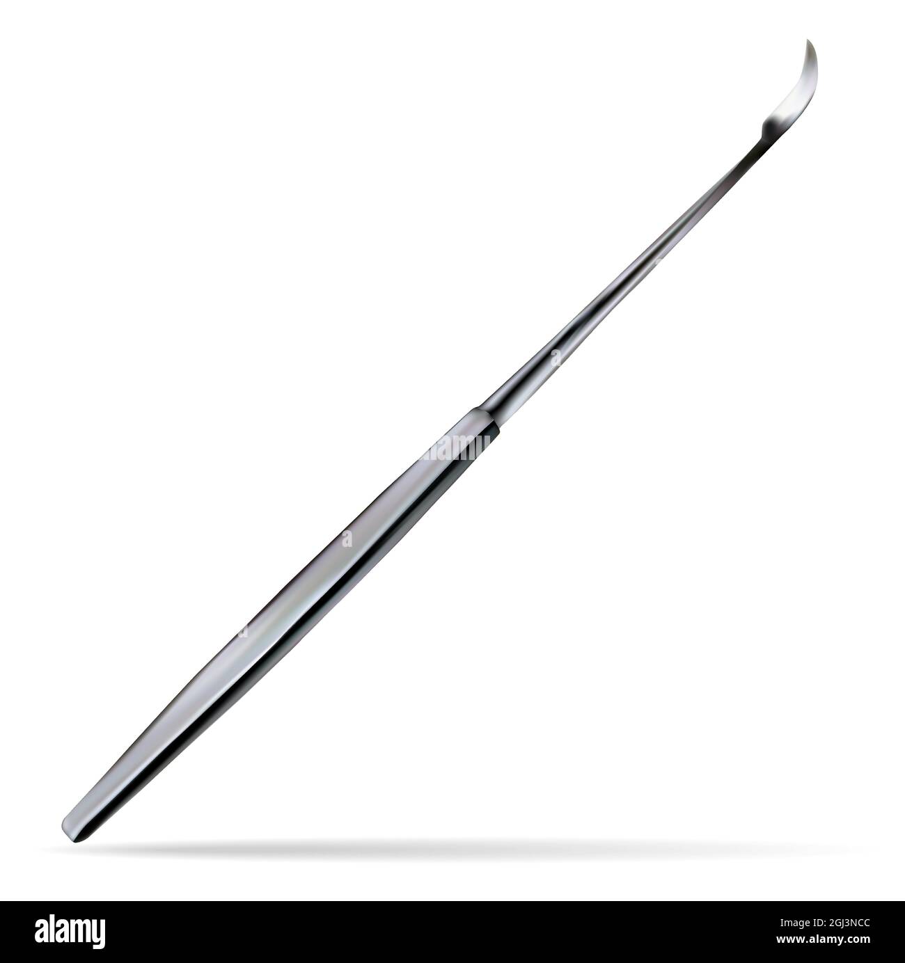Chirurgische anatomie Stock-Vektorgrafiken kaufen - Alamy