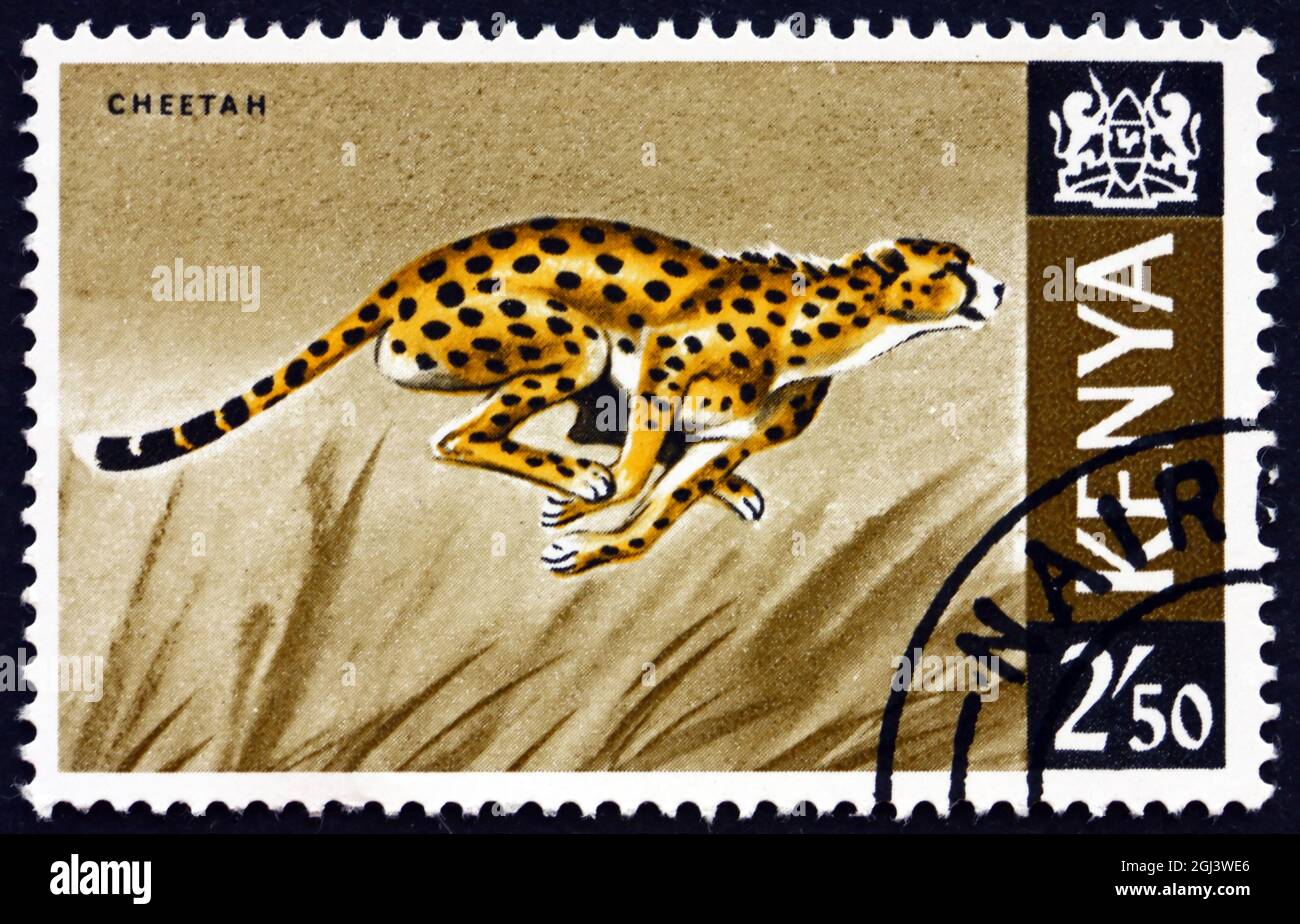 KENIA - UM 1966: Eine in Kenia gedruckte Marke zeigt Gepard, Azinonyx ...