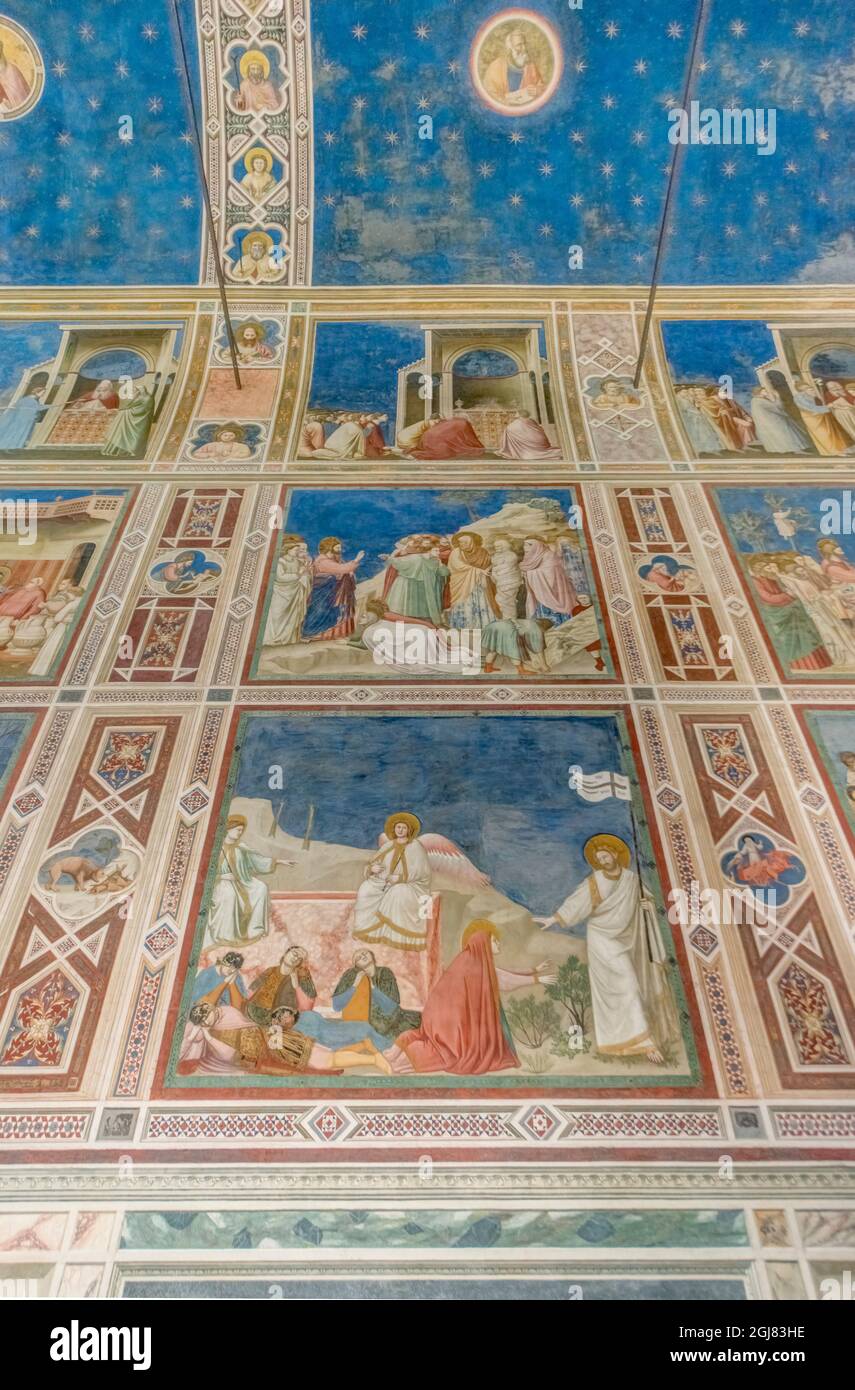Italien, Padua, Scrovegni Kapelle mit Fresken von Giotto im 14. Jahrhundert Stockfotografie - Alamy