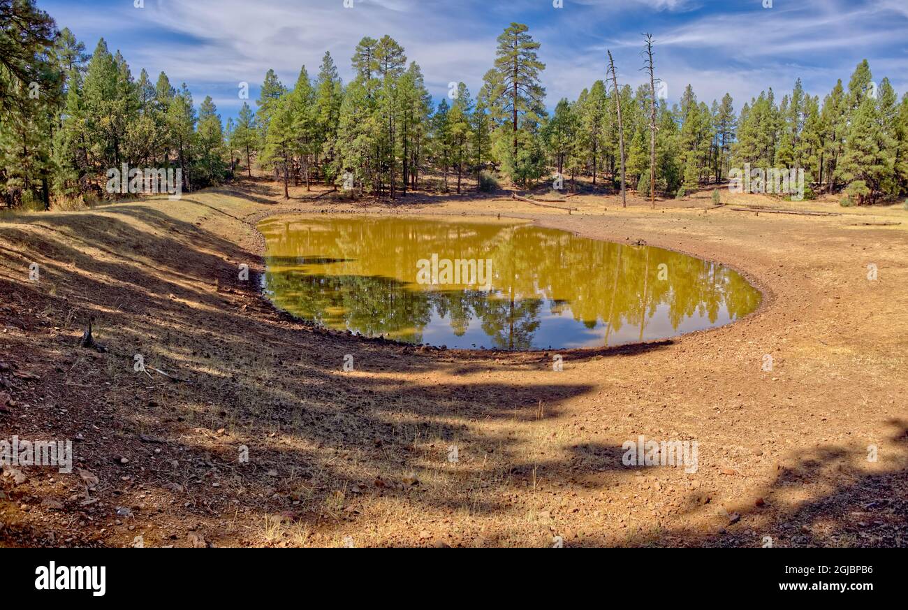 Federal forest -Fotos und -Bildmaterial in hoher Auflösung – Alamy