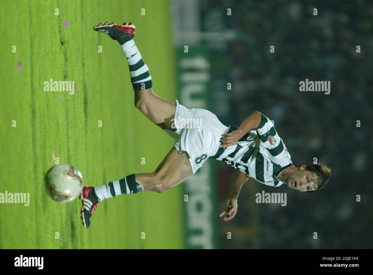 Pedro barbosa -Fotos und -Bildmaterial in hoher Auflösung – Alamy