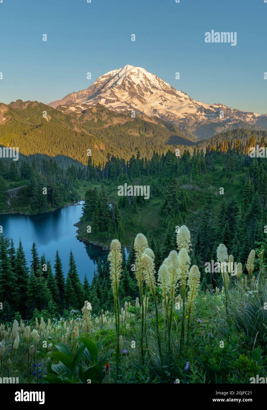 Tolmie state park -Fotos und -Bildmaterial in hoher Auflösung – Alamy