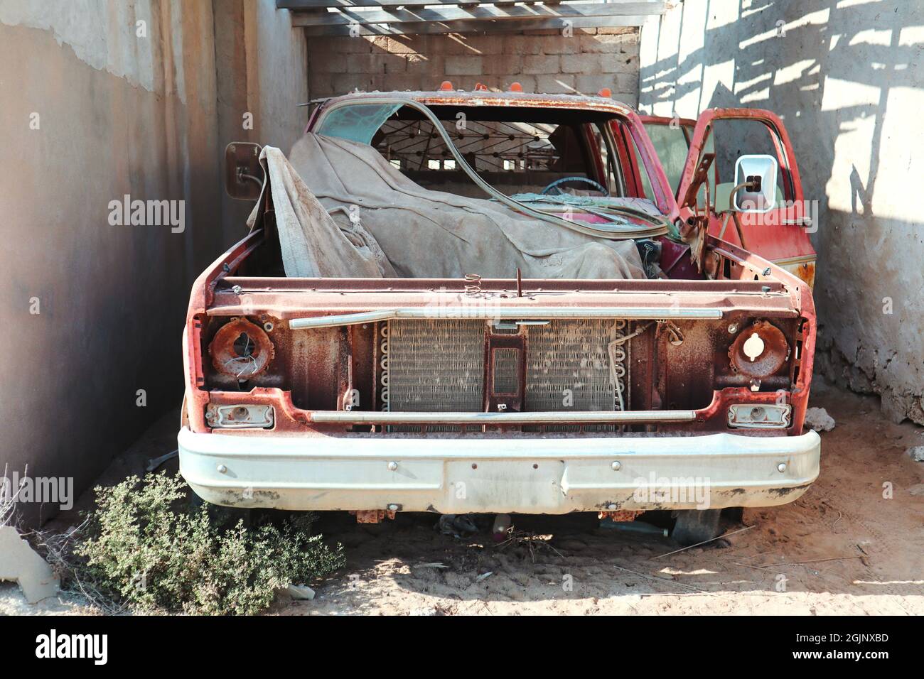 Alte rote buche -Fotos und -Bildmaterial in hoher Auflösung – Alamy