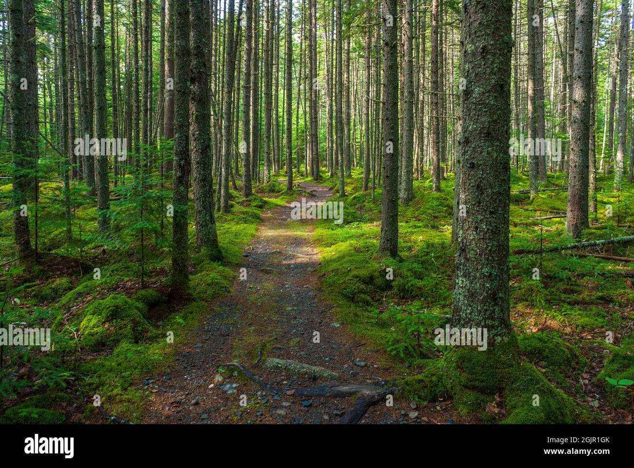 Stephen phillips memorial preserve -Fotos und -Bildmaterial in hoher ...