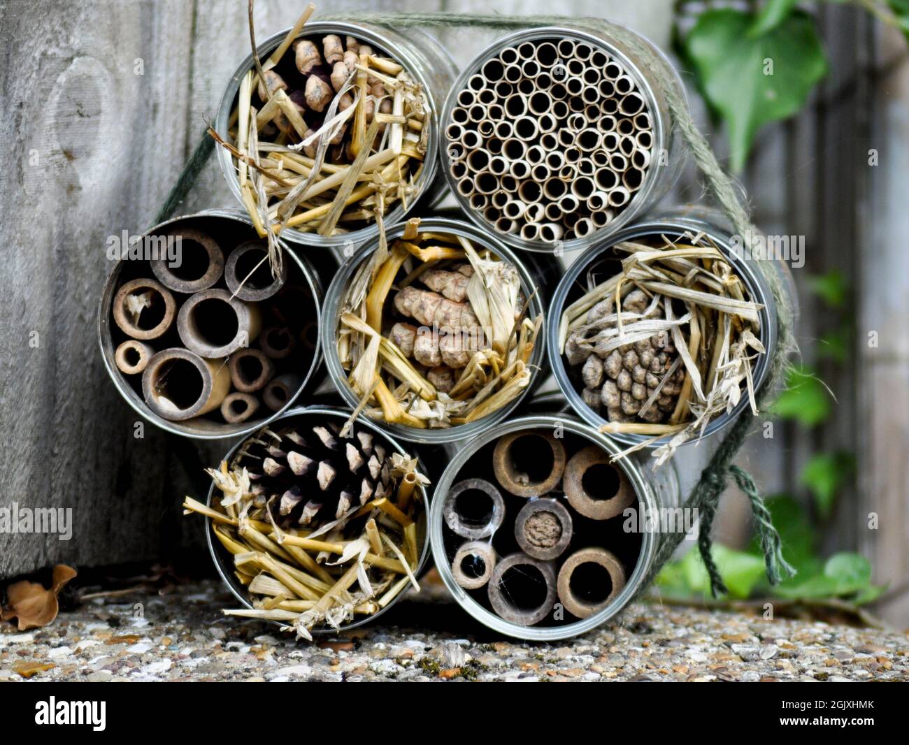 Insektenhotels Aus Dosen