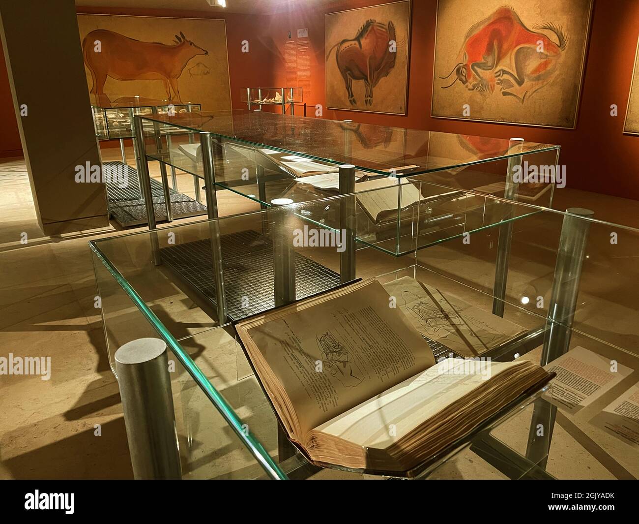 Cuevas de altamira Stockfotos und -bilder Kaufen - Alamy