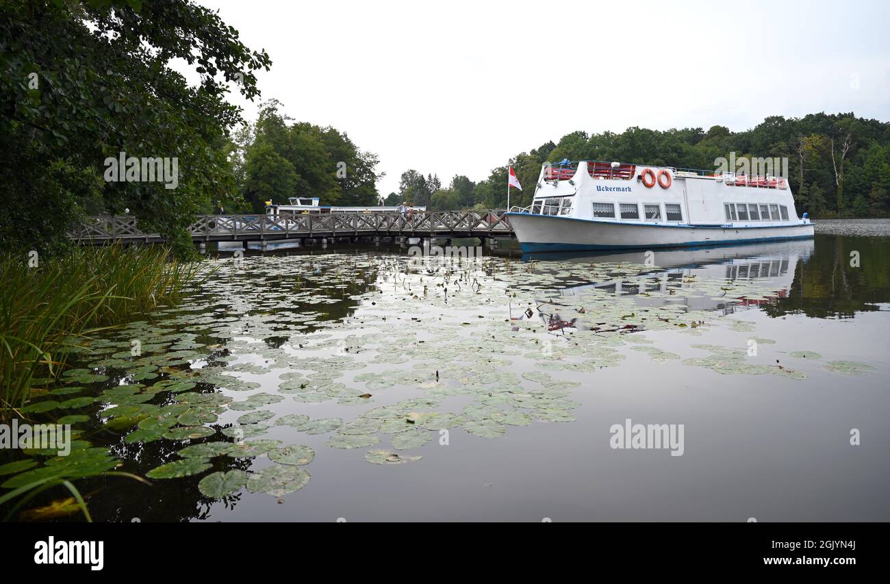 Templin, Deutschland. September 2021. Ausflugsboote werden im Stadthafen geparkt. Quelle: Monika ...