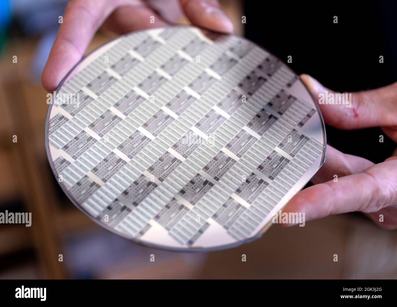 Ein Halbleiterwafer von Mitsubishi. Ein Halbleiter sitzt zwischen einem ...