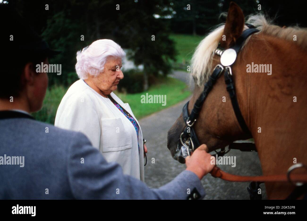 Rolf Sachs' Großmutter, Elinor Eleonore Kirchner von Opel, bei der ...