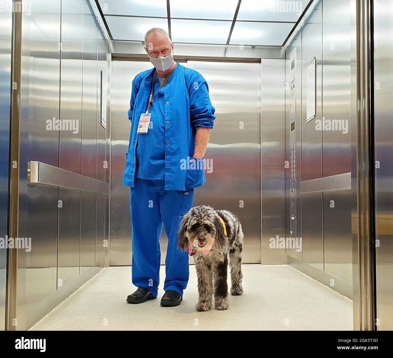 Heidi, die neueste Therapiehündin des Martin Army Community Hospitals ...