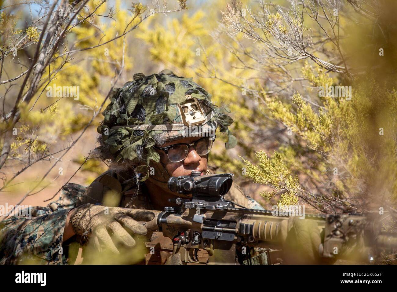 Feindliche infiltration -Fotos und -Bildmaterial in hoher Auflösung – Alamy
