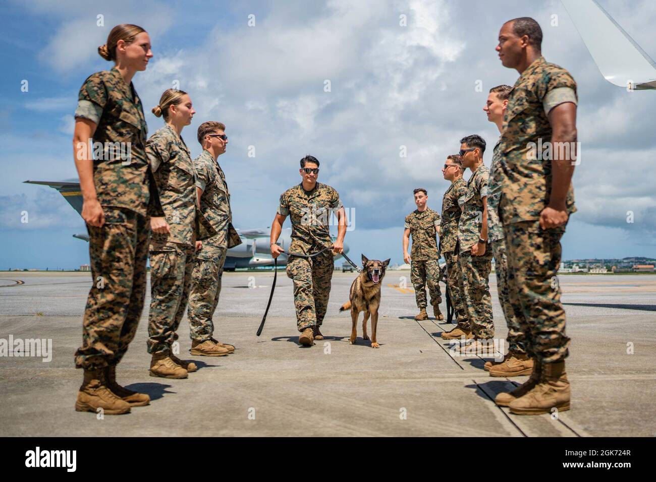 3rd le battalion -Fotos und -Bildmaterial in hoher Auflösung – Alamy