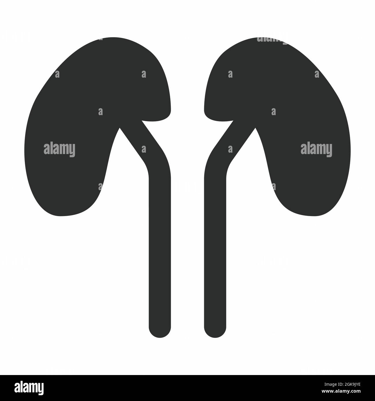 Menschliche anatomie poster Stock-Vektorgrafiken kaufen - Alamy