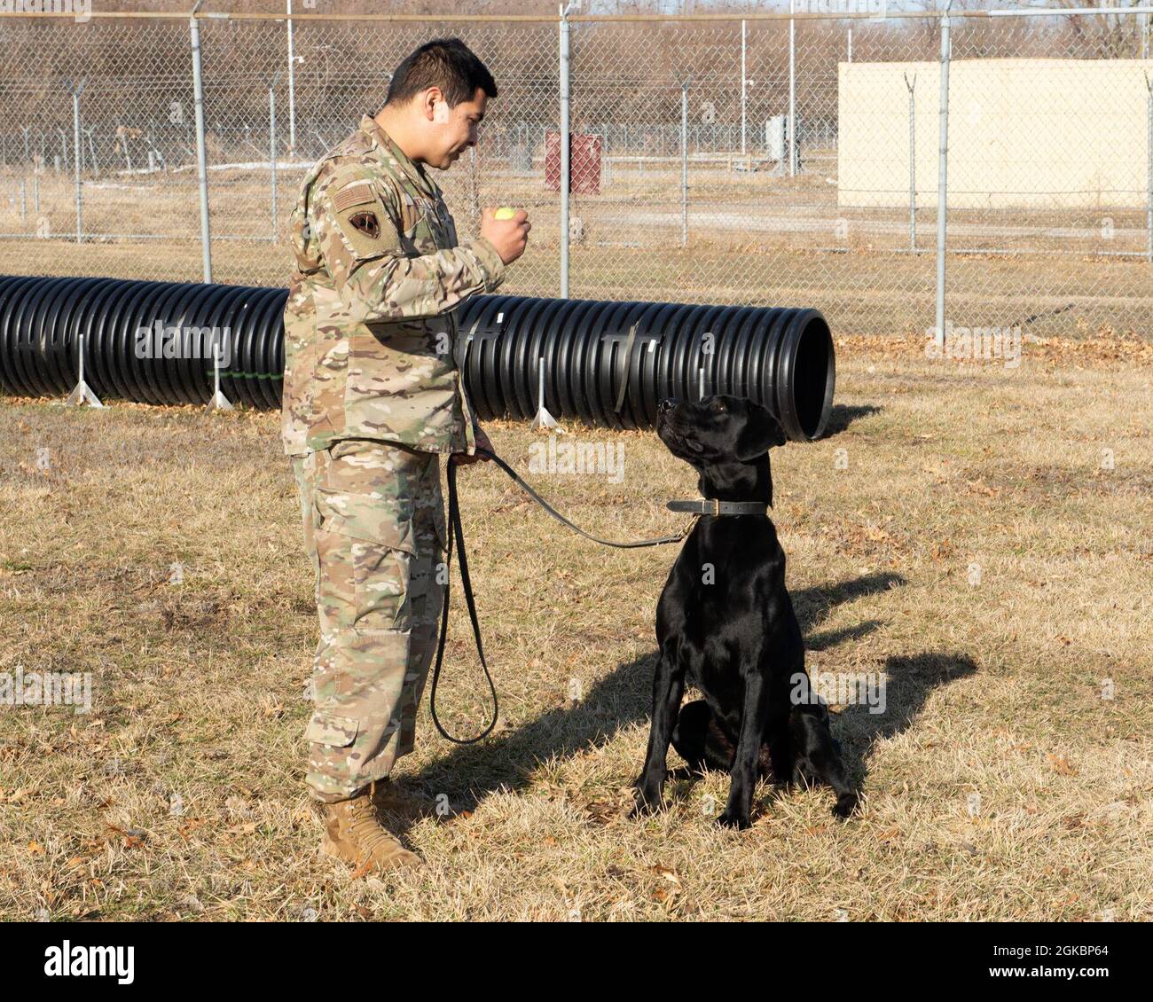 Sfs trainer und handler -Fotos und -Bildmaterial in hoher Auflösung – Alamy