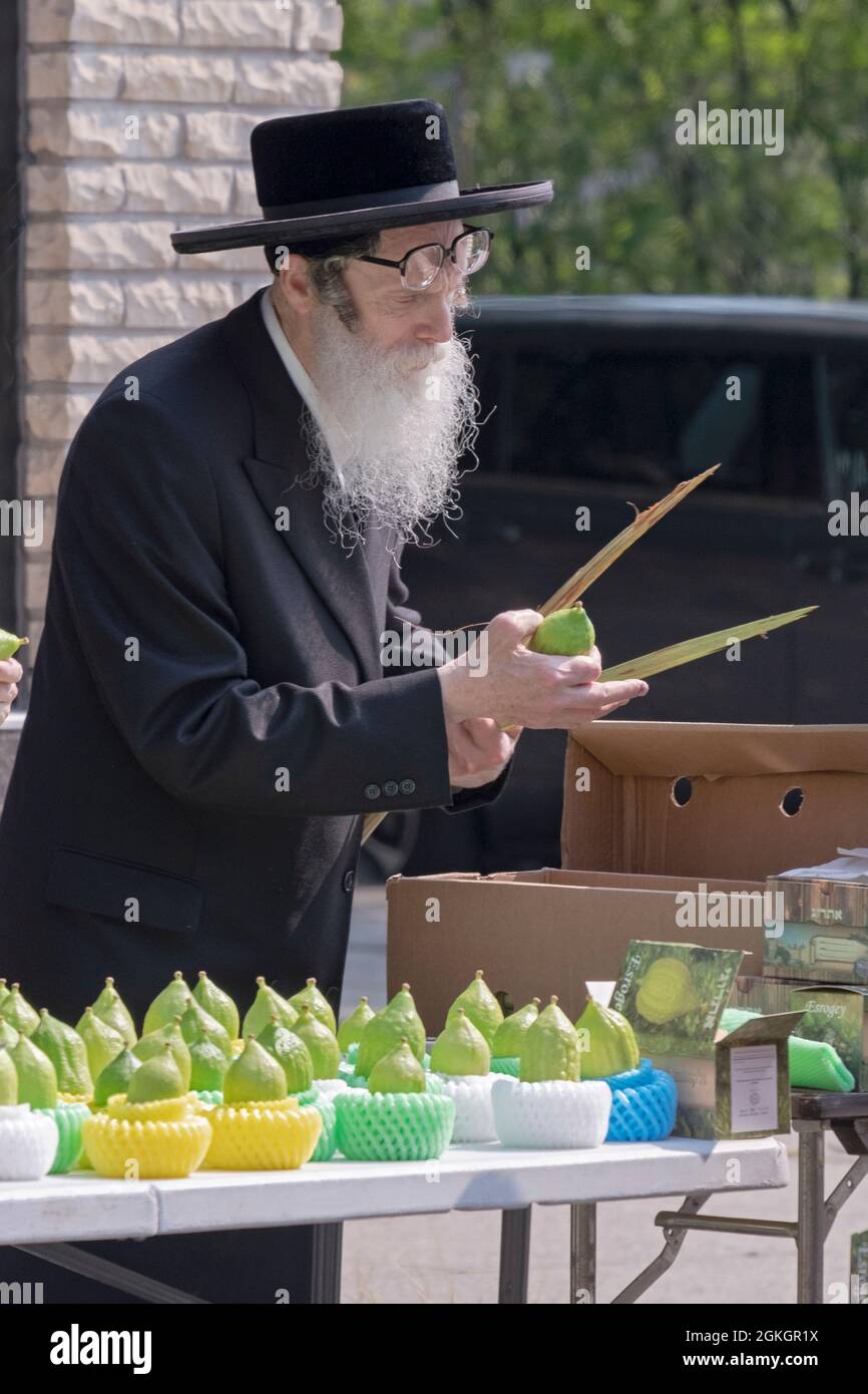 Beard hat rabbi -Fotos und -Bildmaterial in hoher Auflösung – Alamy