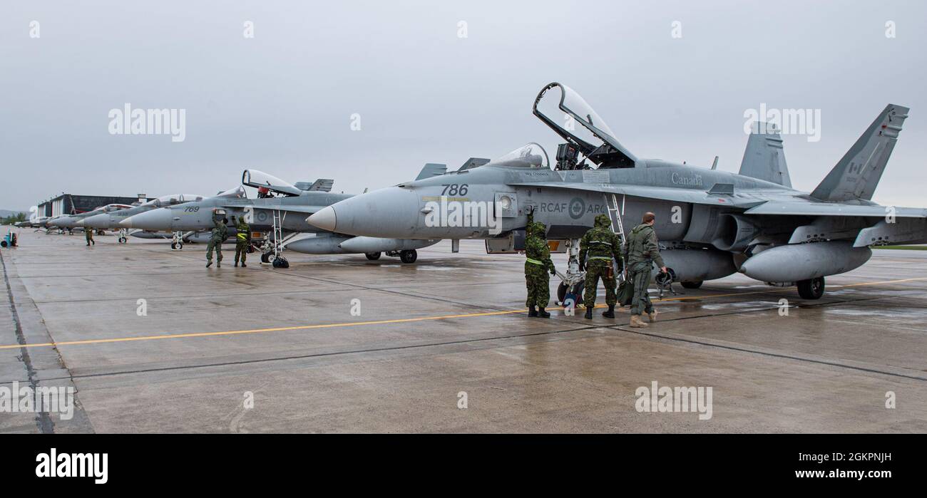 Royal Canadian Air Force Aircraft Maintenance Technicians from 433 ...