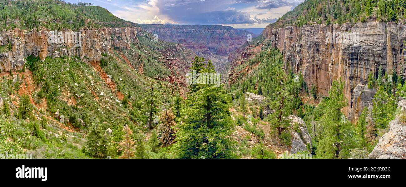 Parco forestale nazionale di coconino -Fotos und -Bildmaterial in hoher ...