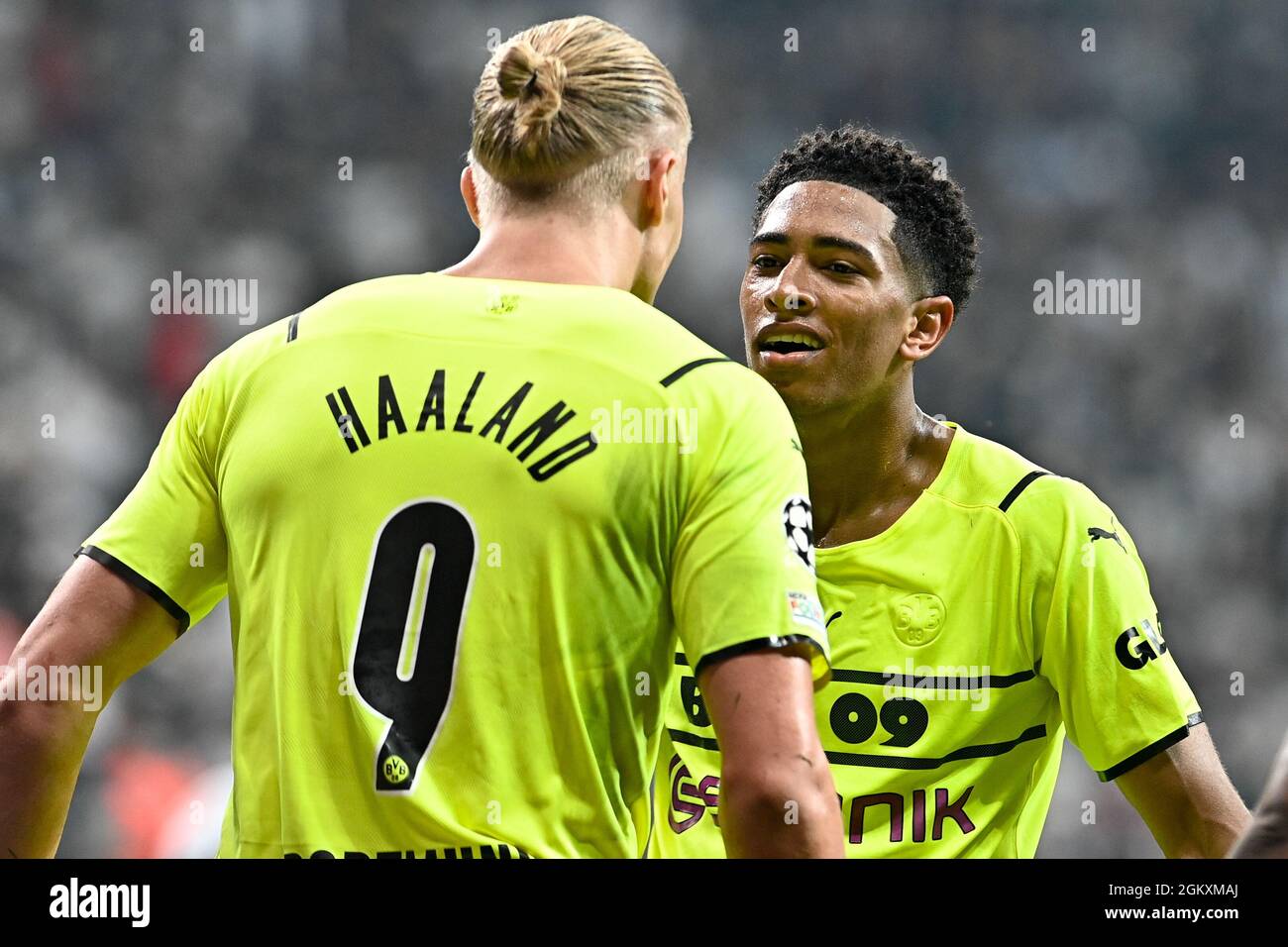 Erlin haaland -Fotos und -Bildmaterial in hoher Auflösung – Alamy