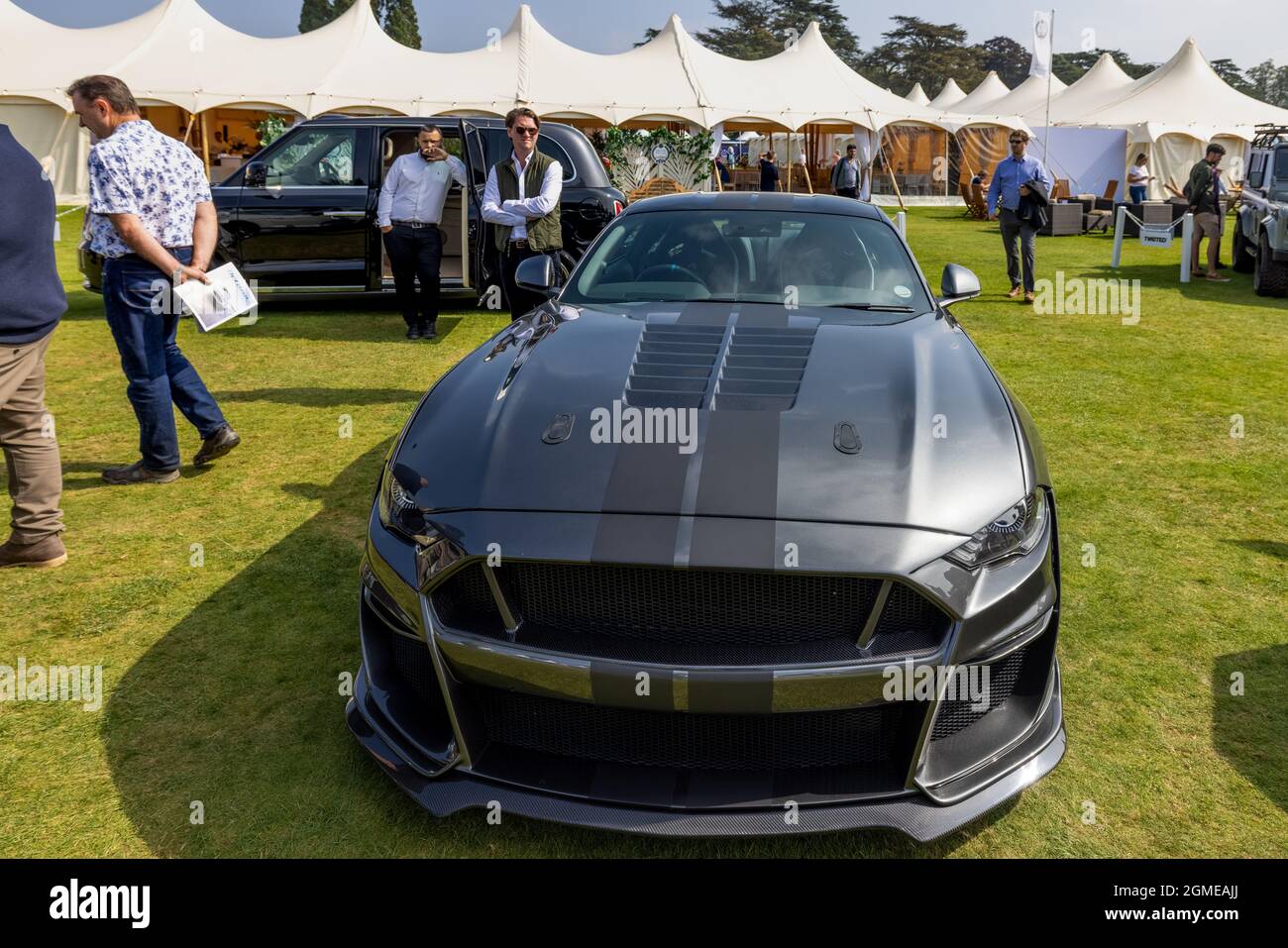 Ford mustang gt 5 0 muscle car -Fotos und -Bildmaterial in hoher ...
