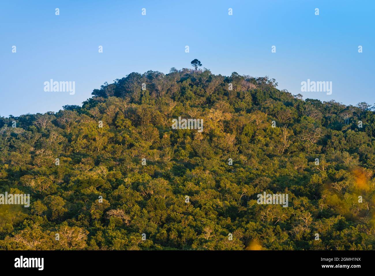 La Danta Pyramid Stockfotos und -bilder Kaufen - Alamy