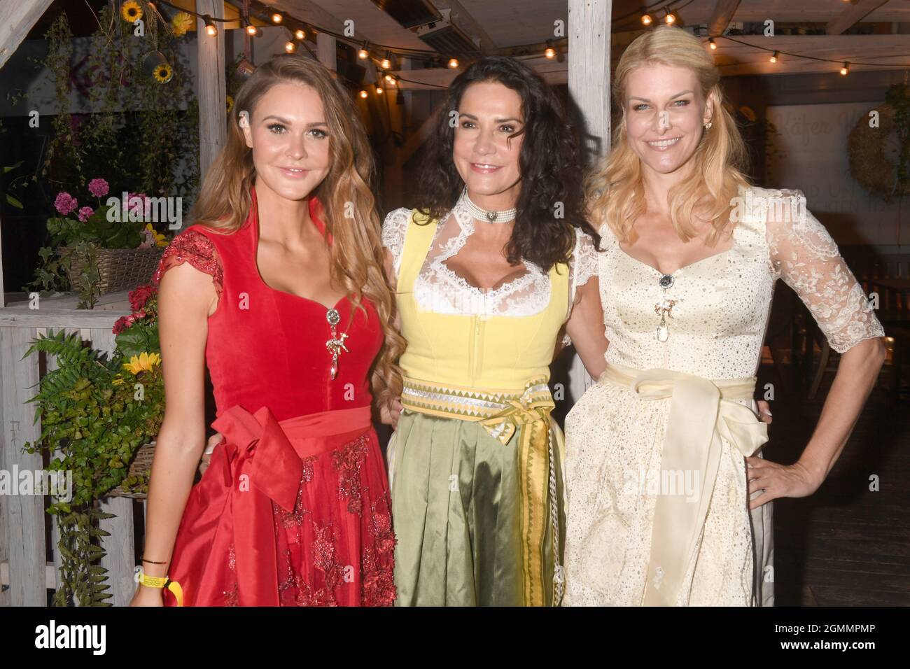 Haupt felix -Fotos und -Bildmaterial in hoher Auflösung – Alamy