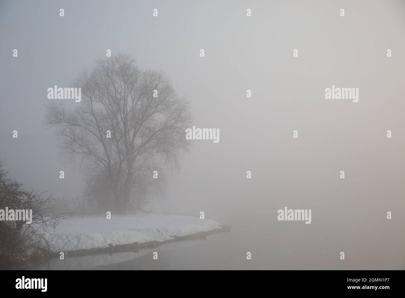 Ulm im winter -Fotos und -Bildmaterial in hoher Auflösung – Alamy