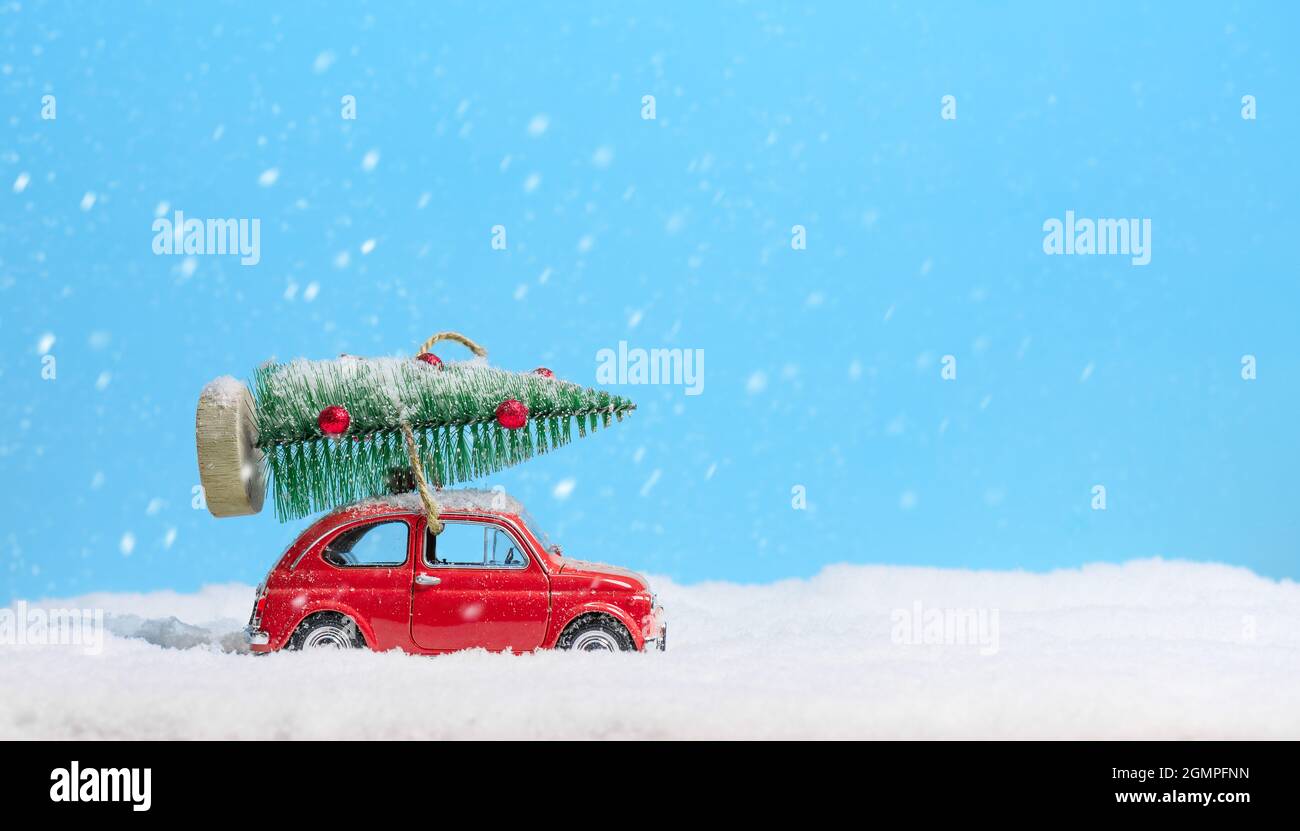 Auto Mit Baum Auf Dach