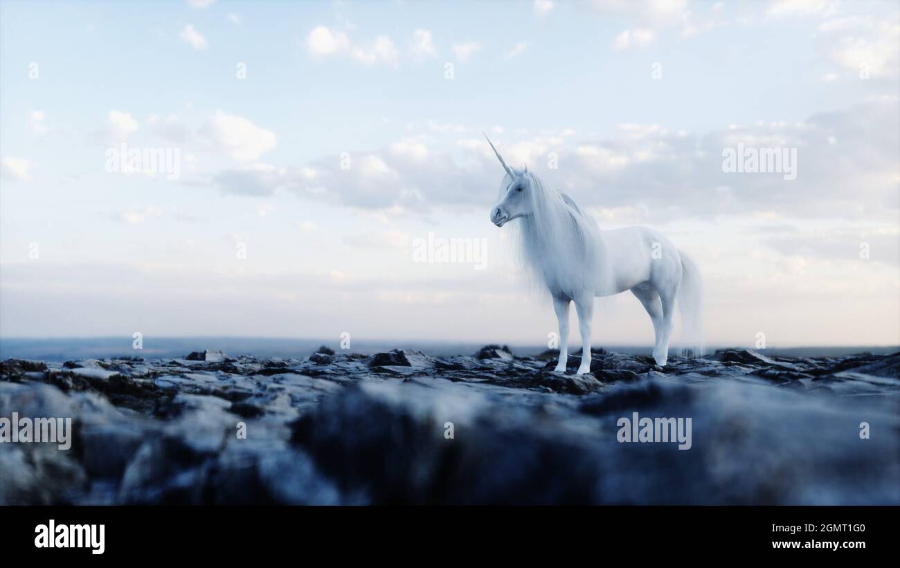 Weißes einhorn stehend -Fotos und -Bildmaterial in hoher Auflösung – Alamy