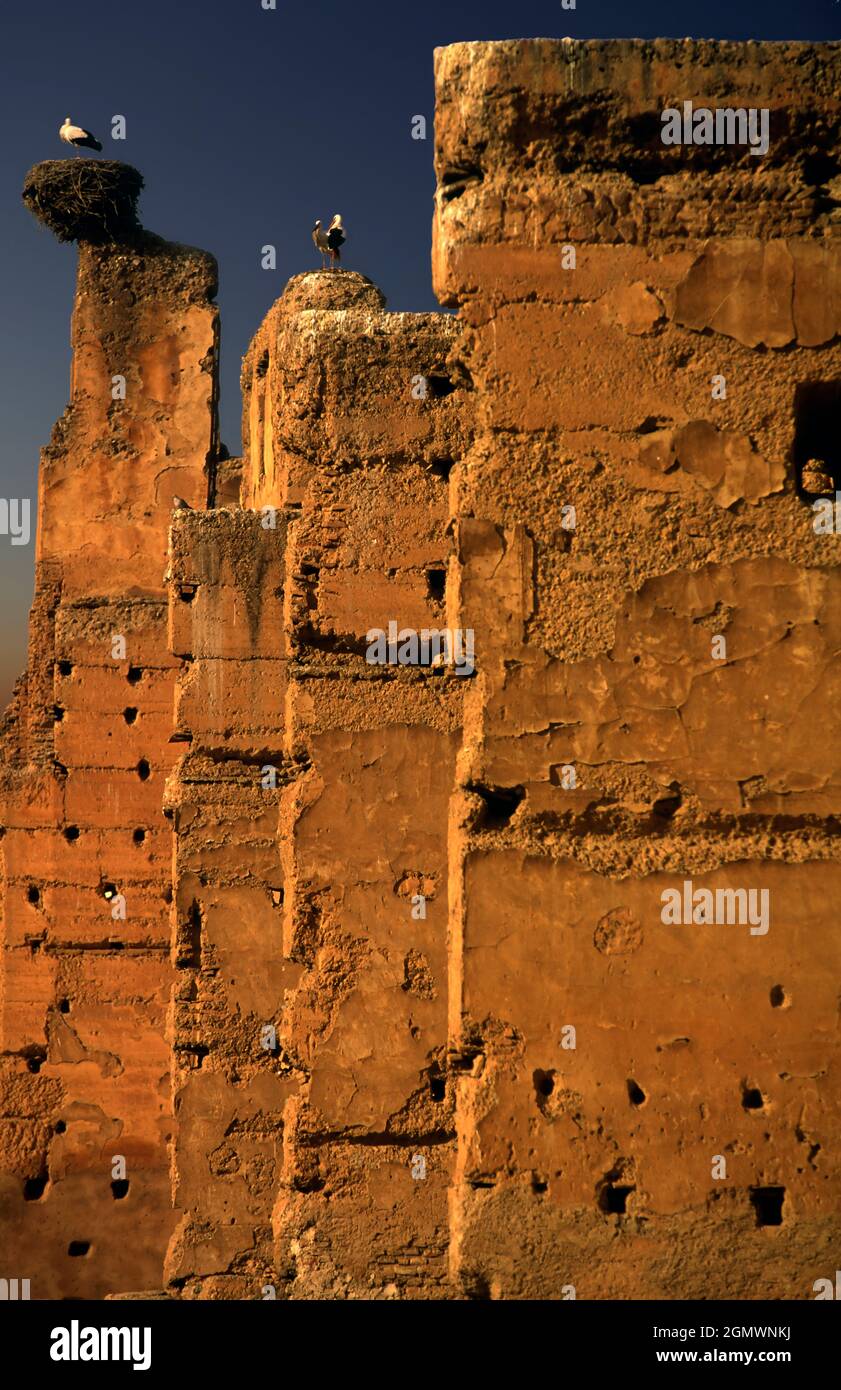 Abu bakr ibn umar -Fotos und -Bildmaterial in hoher Auflösung – Alamy