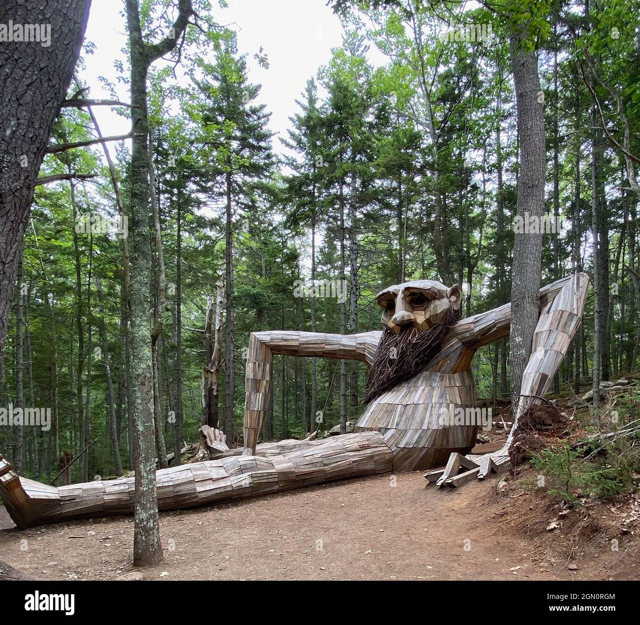 Troll birke -Fotos und -Bildmaterial in hoher Auflösung – Alamy