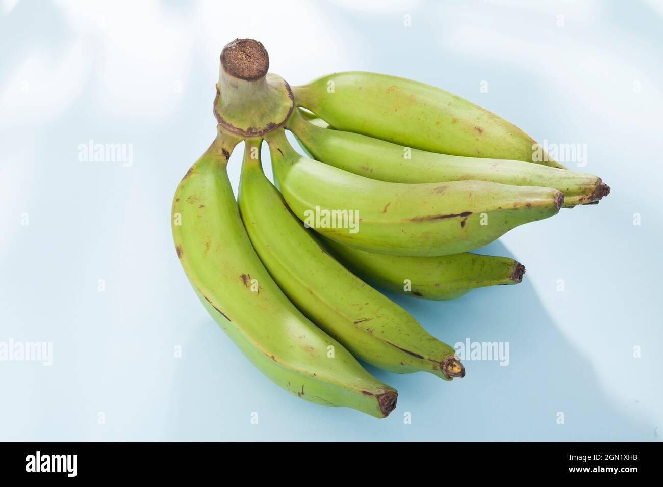 Grüne bananenfrucht -Fotos und -Bildmaterial in hoher Auflösung – Alamy
